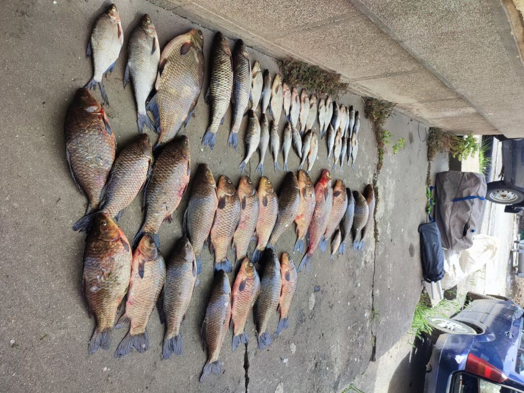 TROJICA RIBOKRADICA IZ VRANJA UHVAĆENI NA VLASINSKOM JEZERU - Vranjski ...