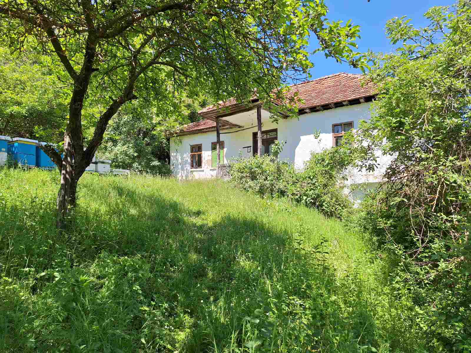 NA PRODAJU KUĆA I IMANJE U SELU BUŠTRANJE:Toskana na jugu Srbije ...